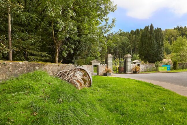 Conservation Management Plan - Rossmore Forest Park - Tourism