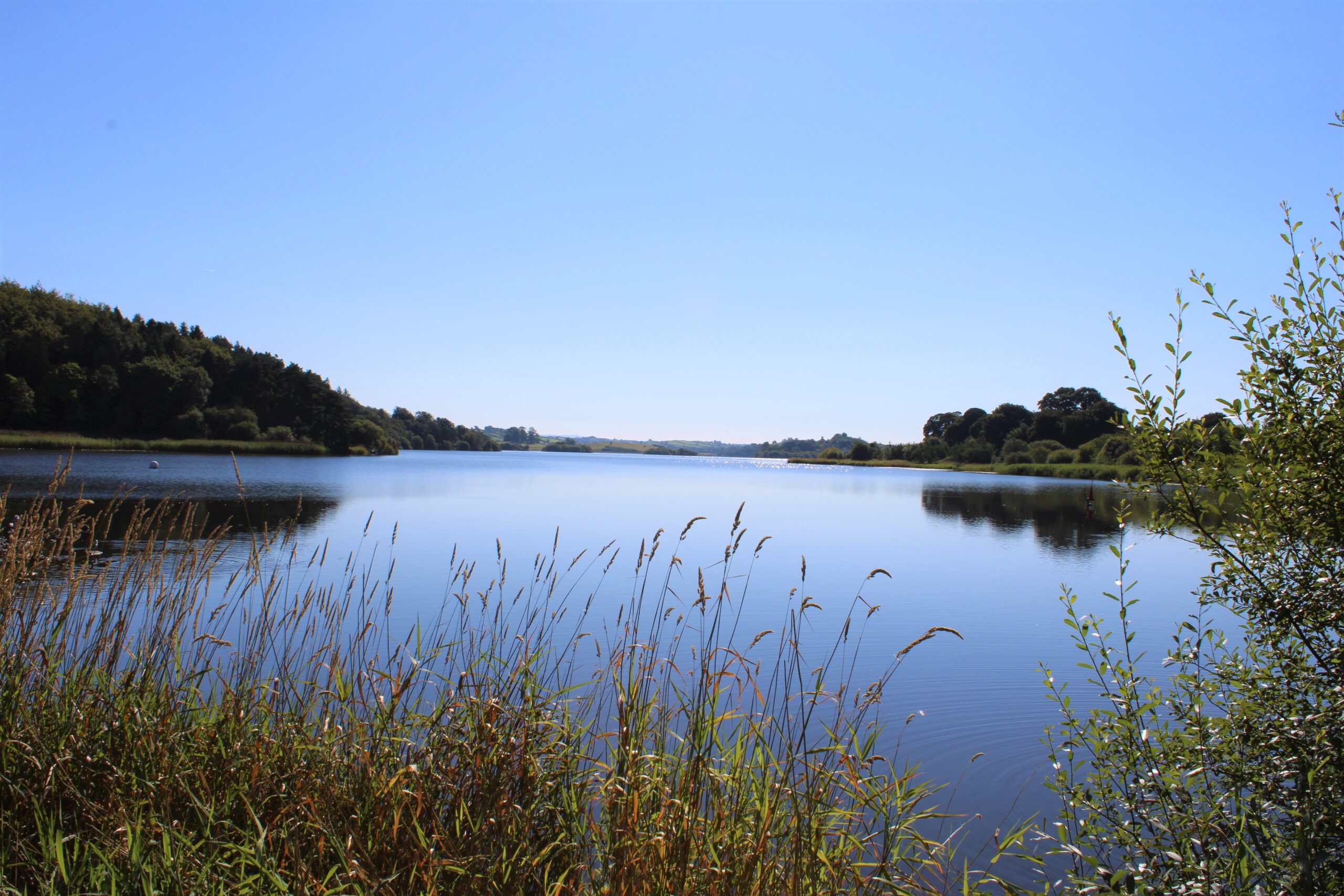 ATTENTION - Monaghan County Council’s Environment section have received ...
